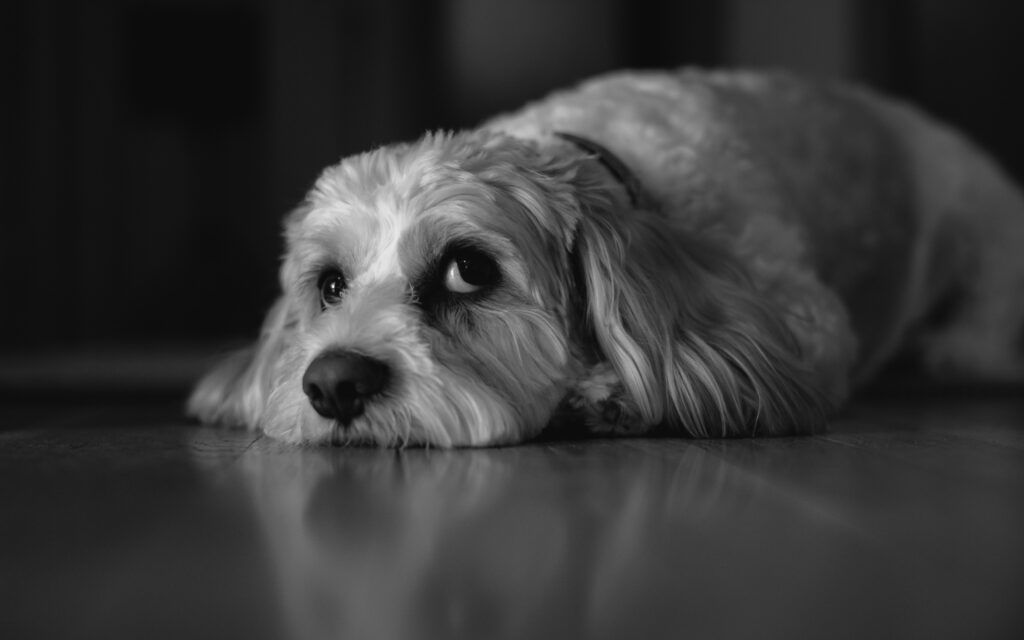 In-Person Photo Editing Classes | Edit Photos Shutterbug Training